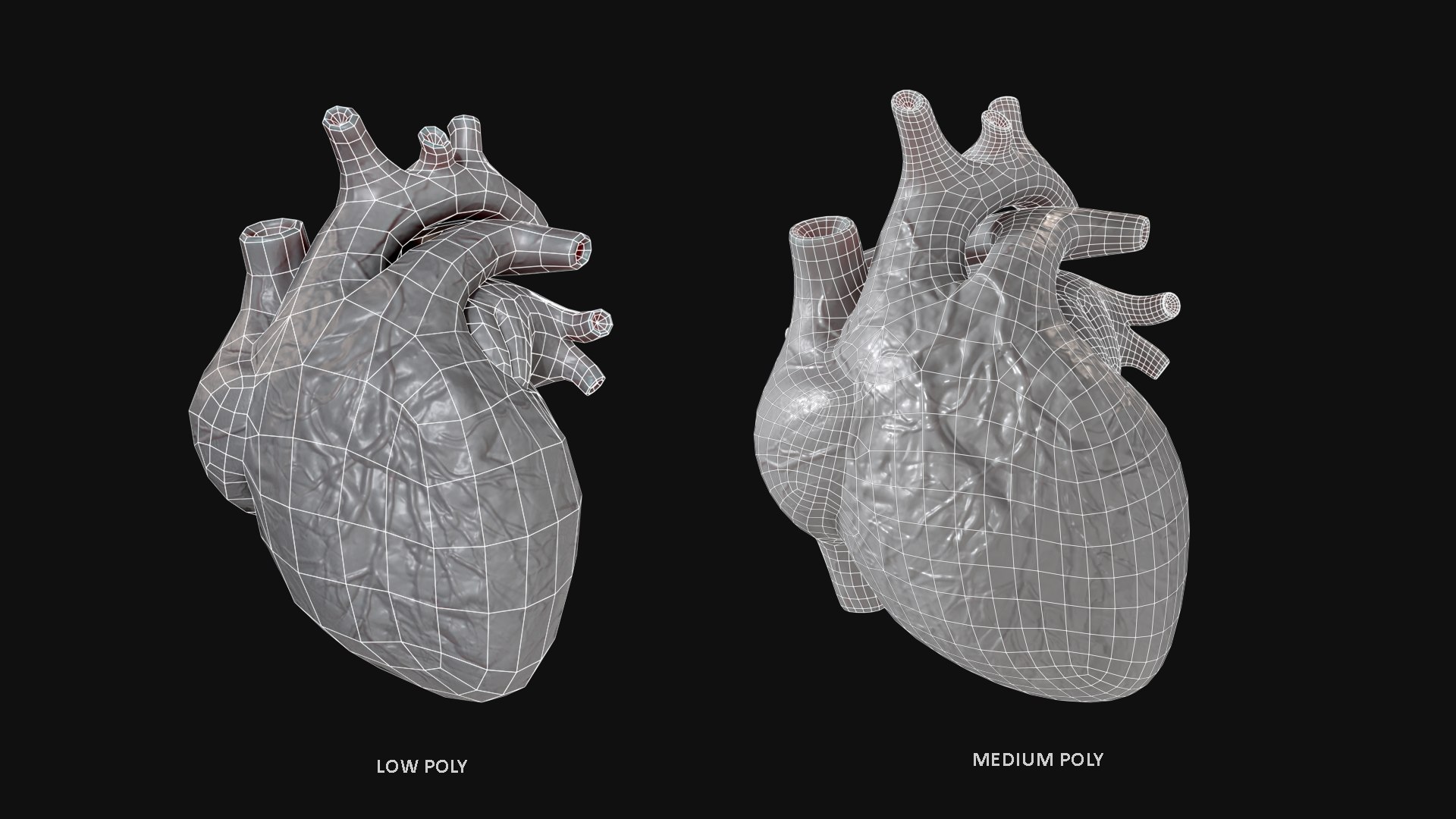 3D Heart model - TurboSquid 2173126