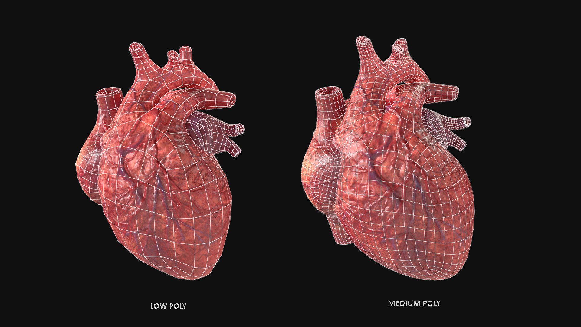 3D Heart model - TurboSquid 2173126