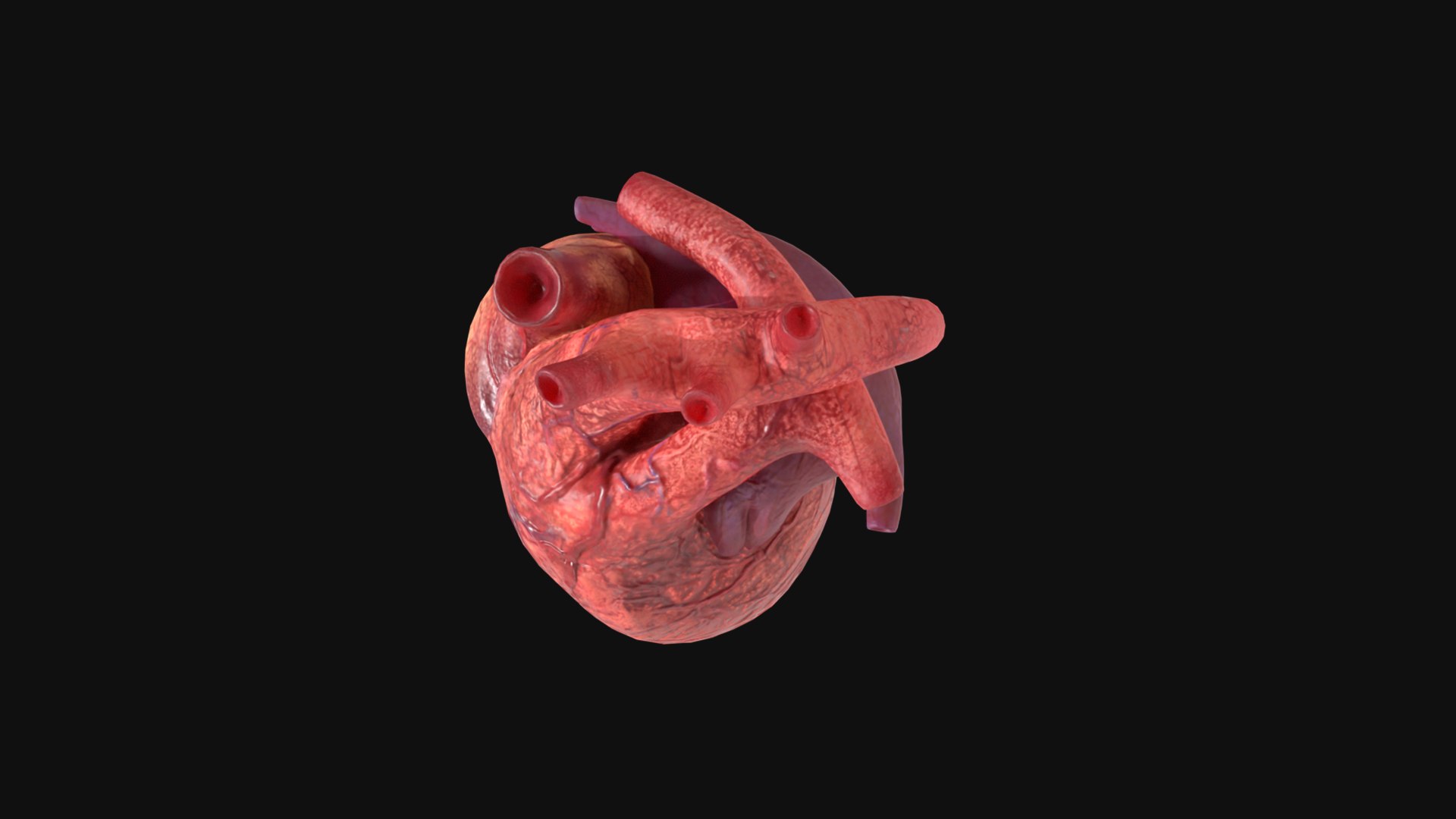 3D Heart model - TurboSquid 2173126