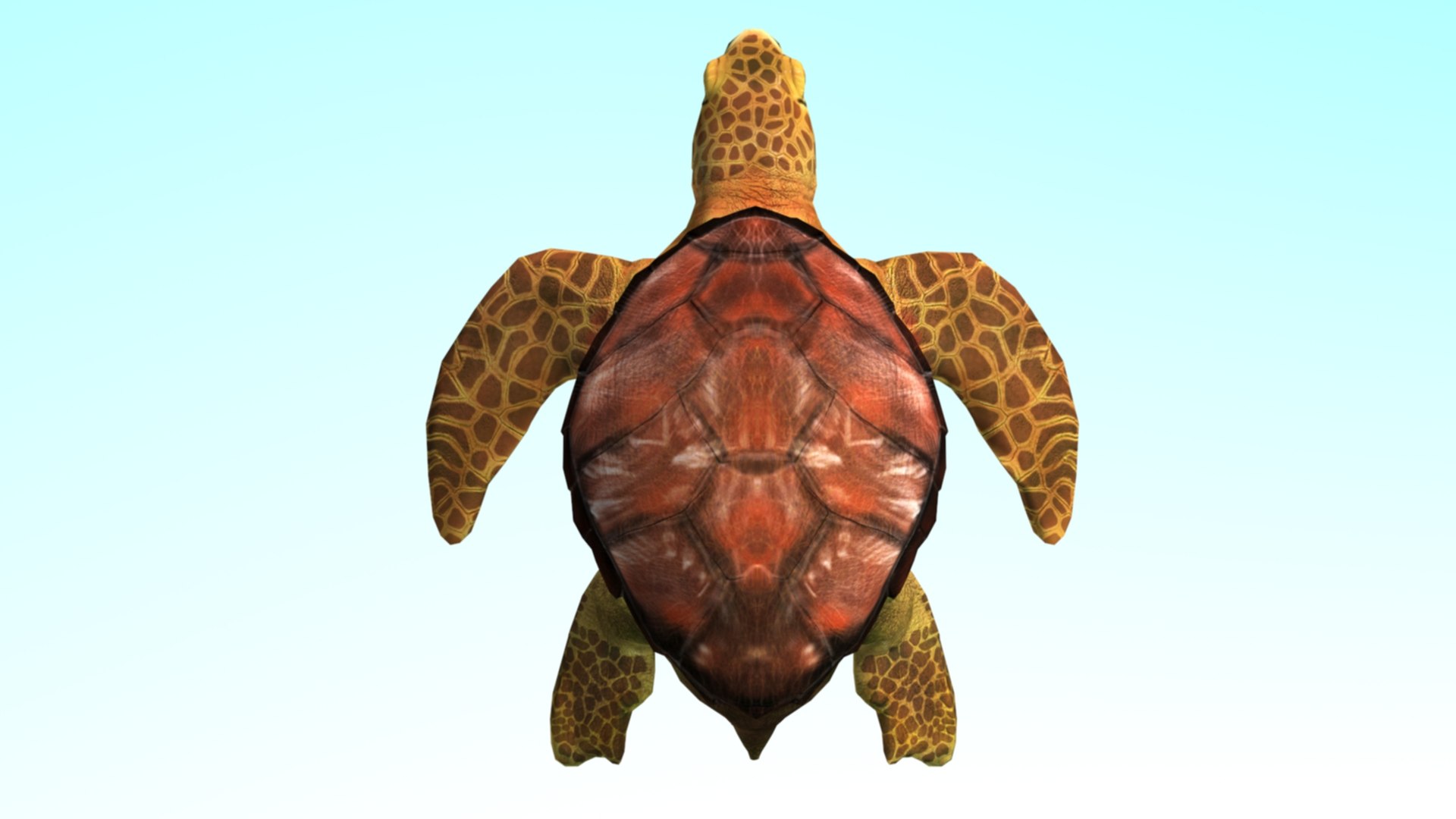 3d model sea turtle