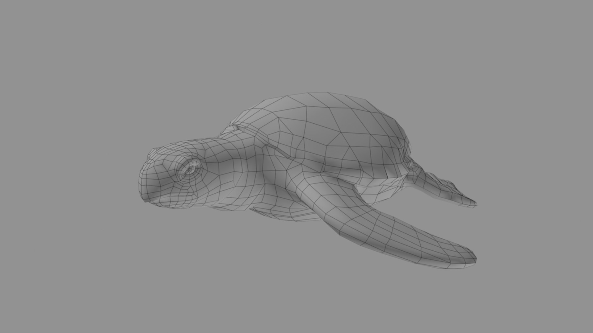3d model sea turtle