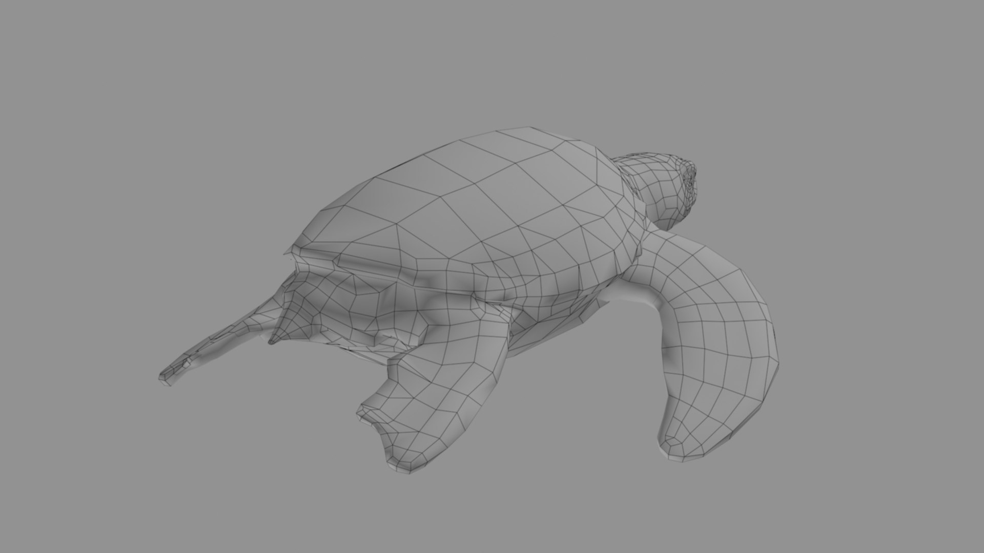 3d model sea turtle