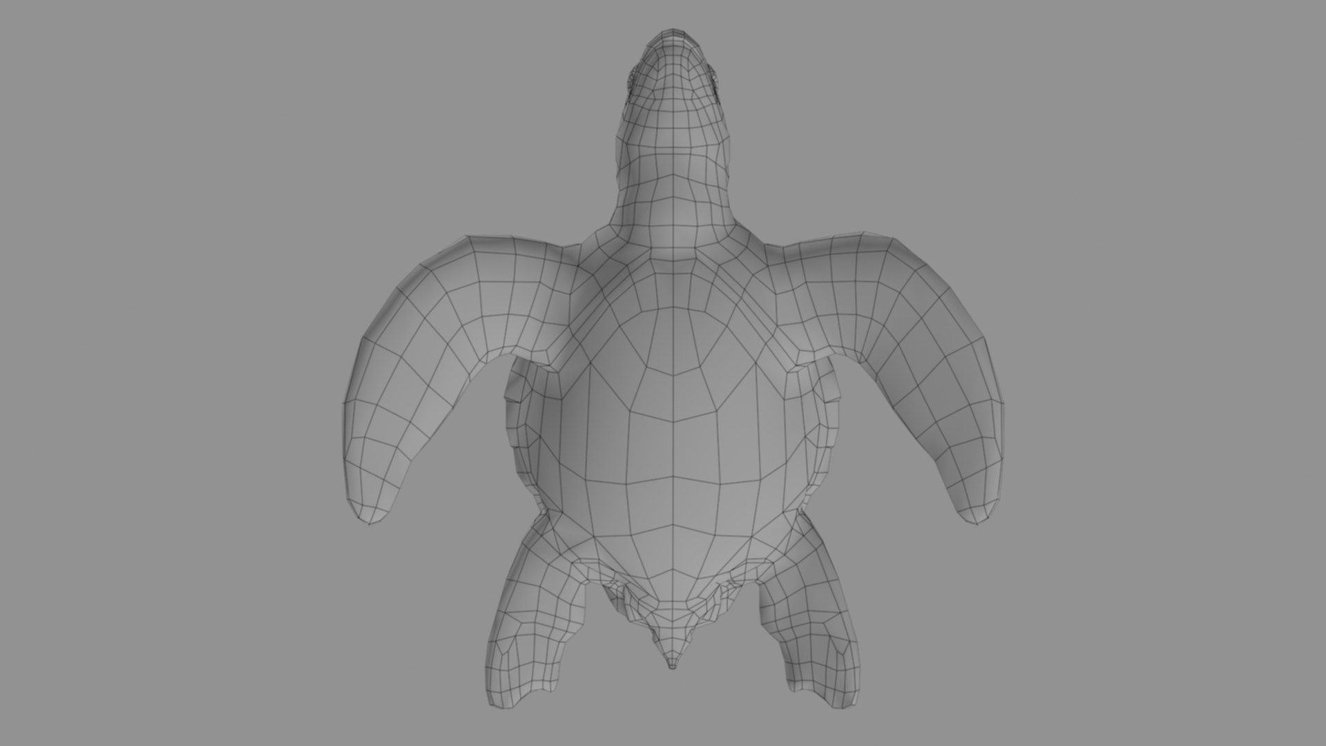 3d model sea turtle