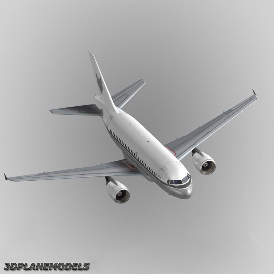 Airbus A318 Private A-318 3ds