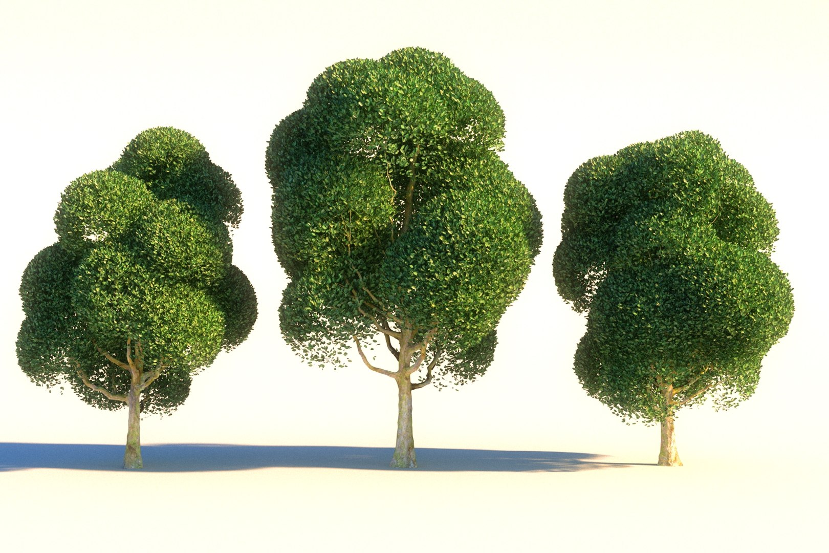3D Perfect Garden Tree Pack Model - TurboSquid 1545276