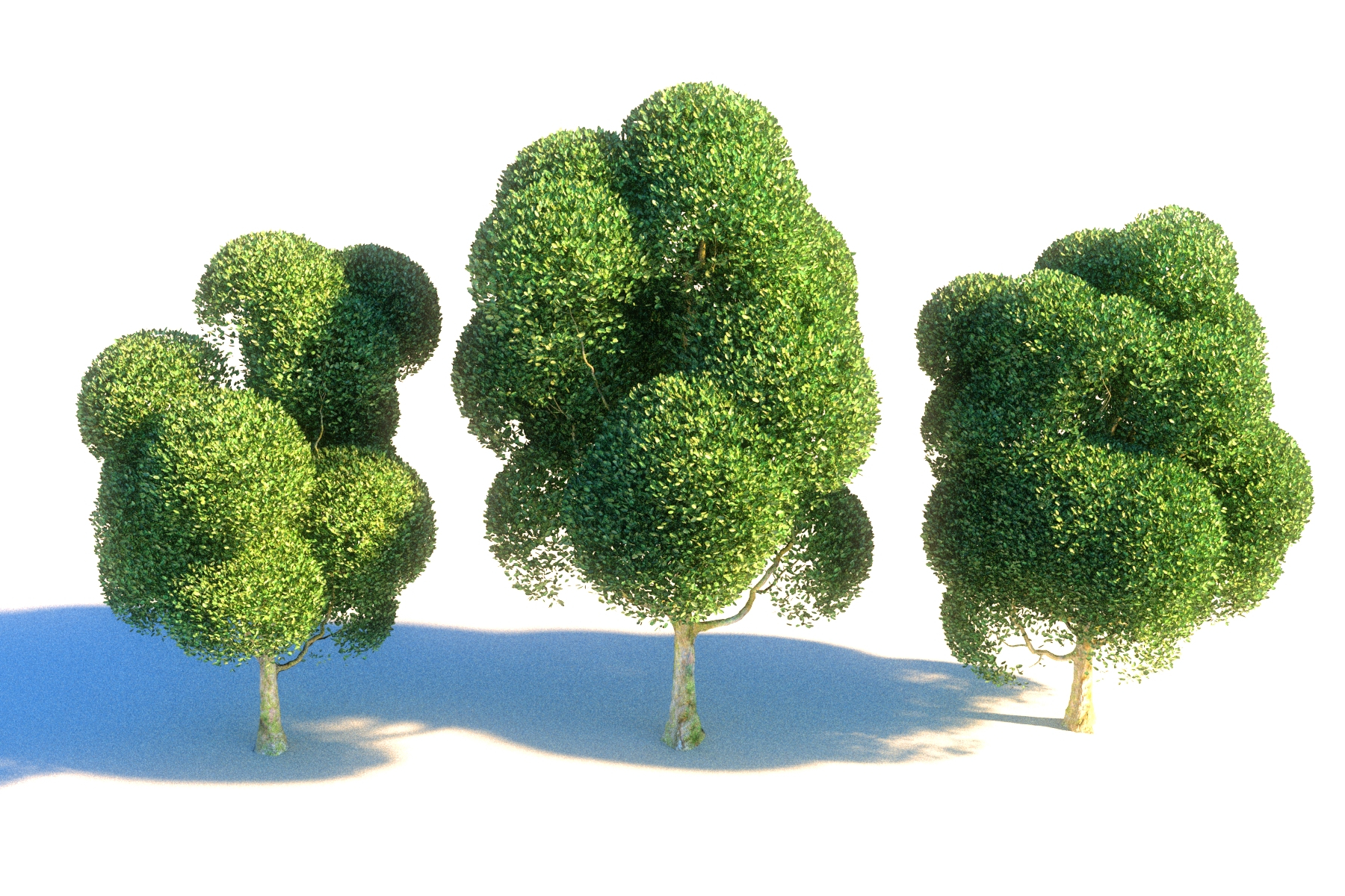 3D perfect garden tree pack model - TurboSquid 1545276