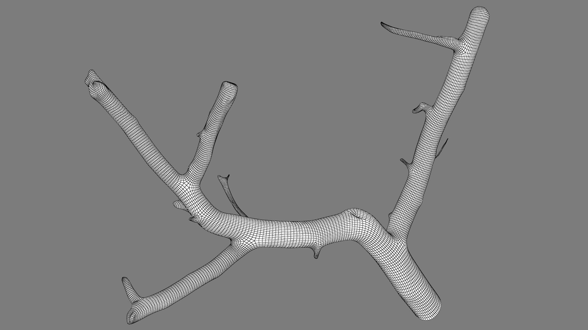 Twig Scanned 29 3D - TurboSquid 2088504