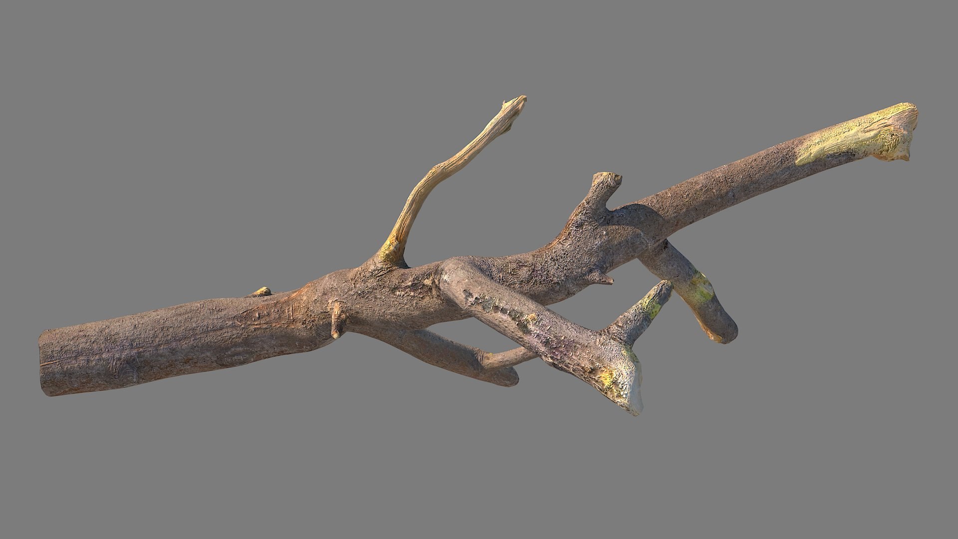 Twig Scanned 29 3D - TurboSquid 2088504