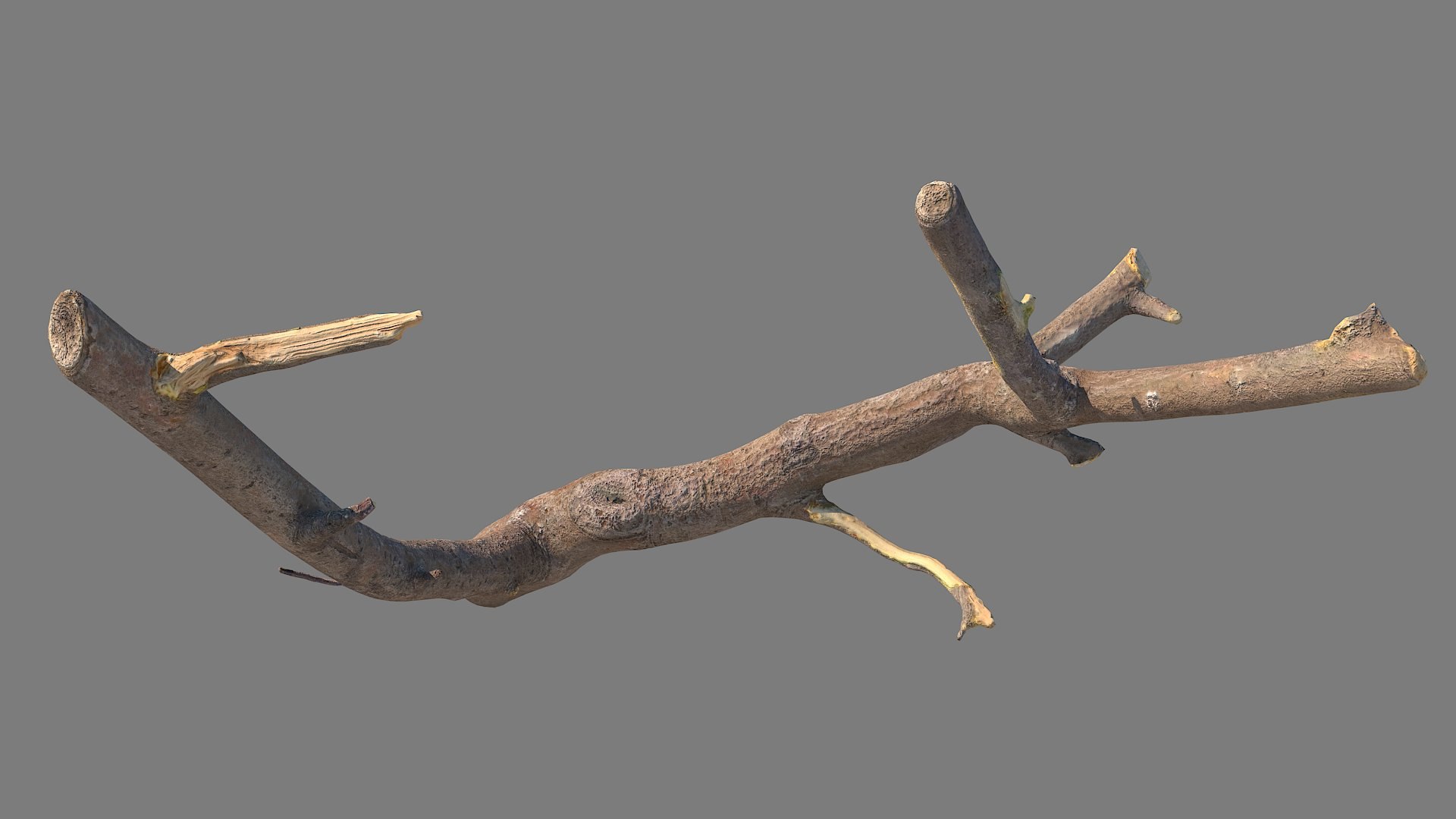 Twig Scanned 29 3D - TurboSquid 2088504