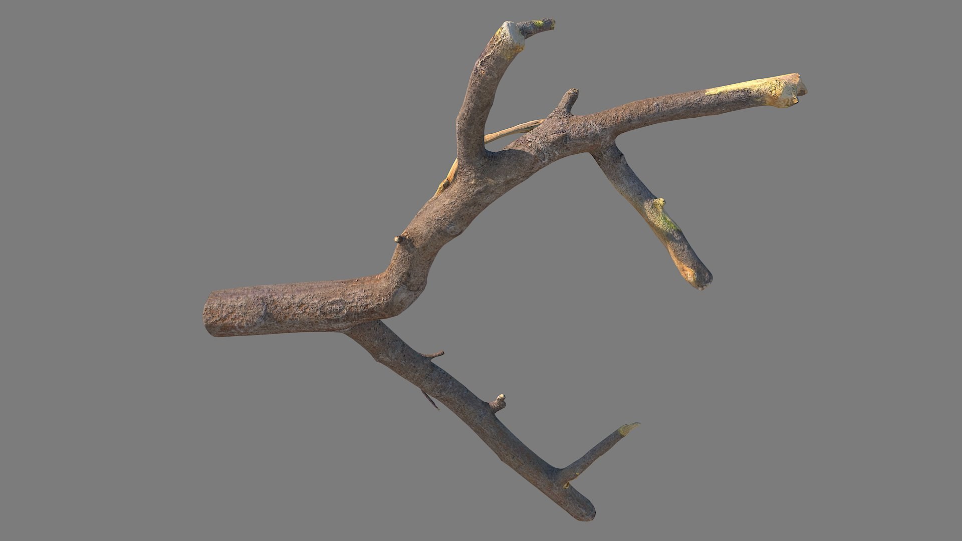 Twig Scanned 29 3D - TurboSquid 2088504