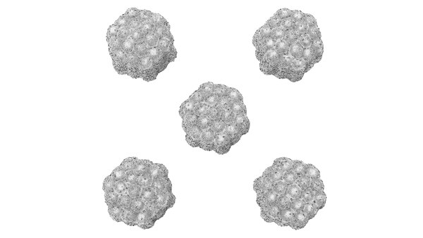 3D Sugar Eldelberry Gumdrops model - TurboSquid 1818629