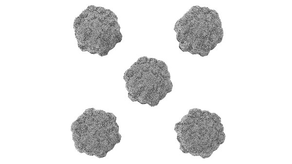 3D Sugar Eldelberry Gumdrops model - TurboSquid 1818629