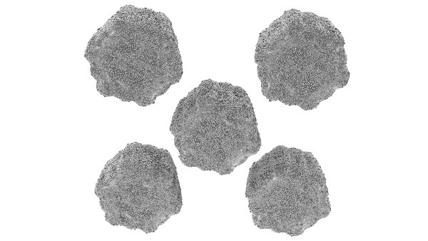 3D Sugar Eldelberry Gumdrops model - TurboSquid 1818629