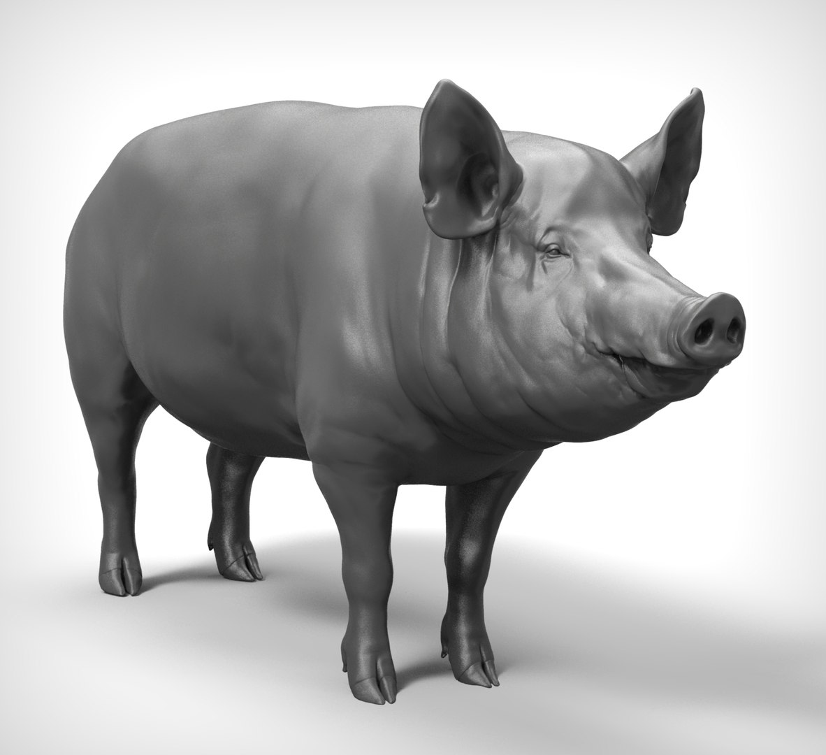 3D Model Pig Realistic - TurboSquid 1210704