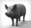 3D Model Pig Realistic - TurboSquid 1210704
