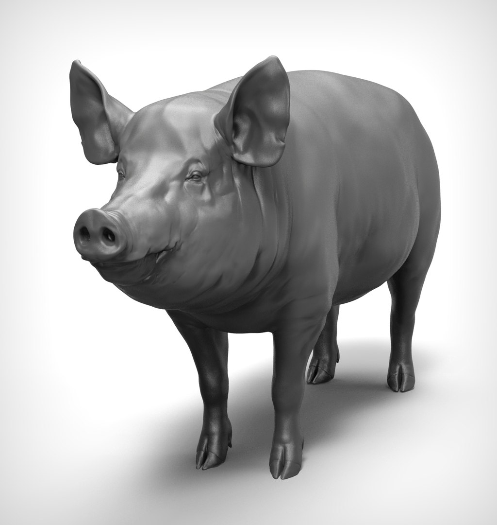3D Model Pig Realistic - TurboSquid 1210704