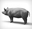 3D Model Pig Realistic - TurboSquid 1210704