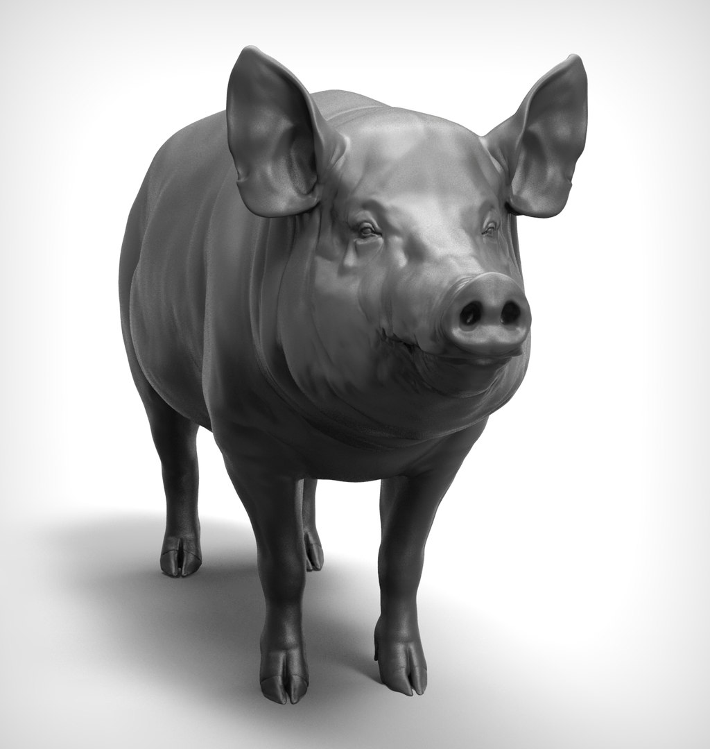 3D Model Pig Realistic - TurboSquid 1210704