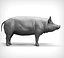 3D Model Pig Realistic - TurboSquid 1210704