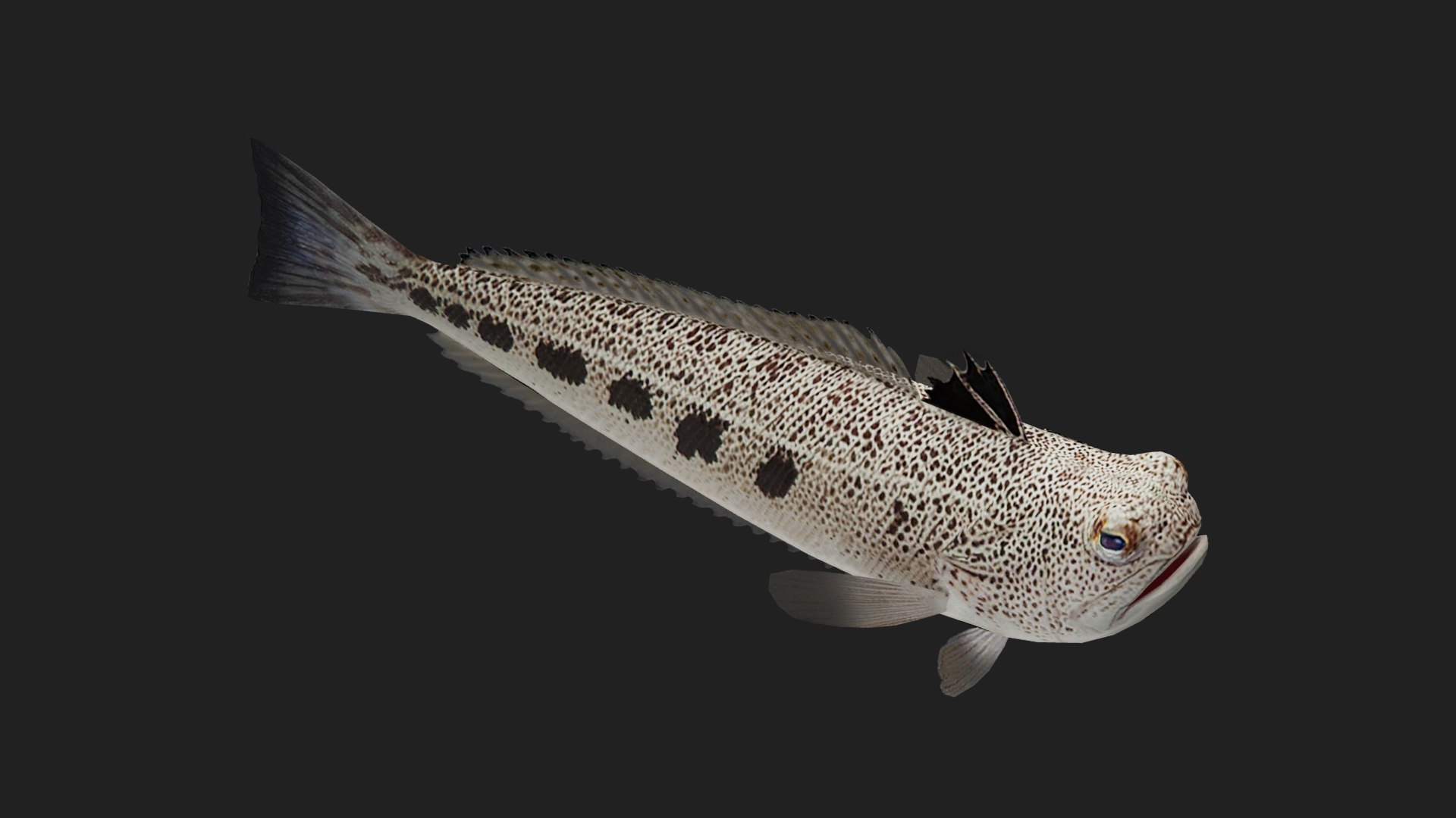 3D Bass Fish Model - TurboSquid 2123096
