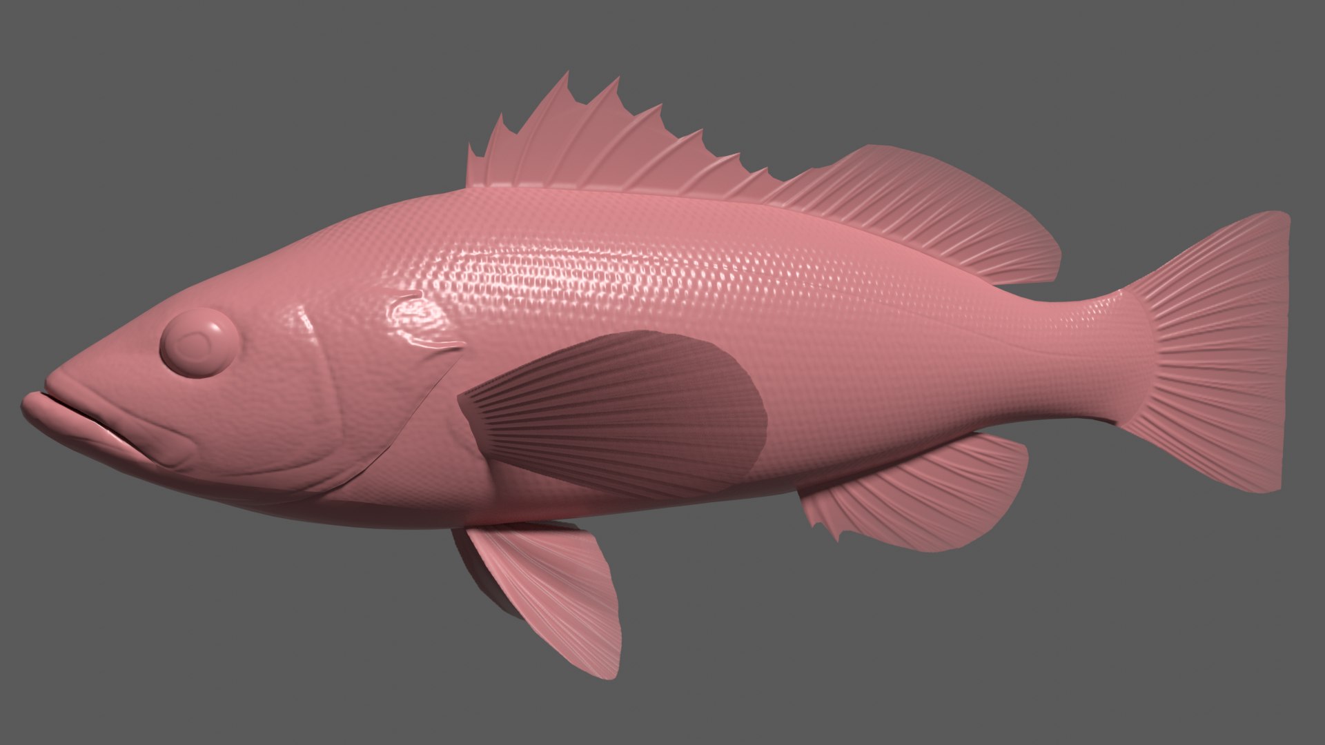 3d kelp bass model