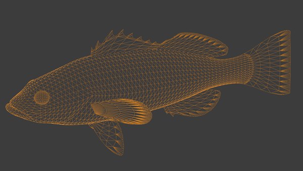 3d kelp bass model