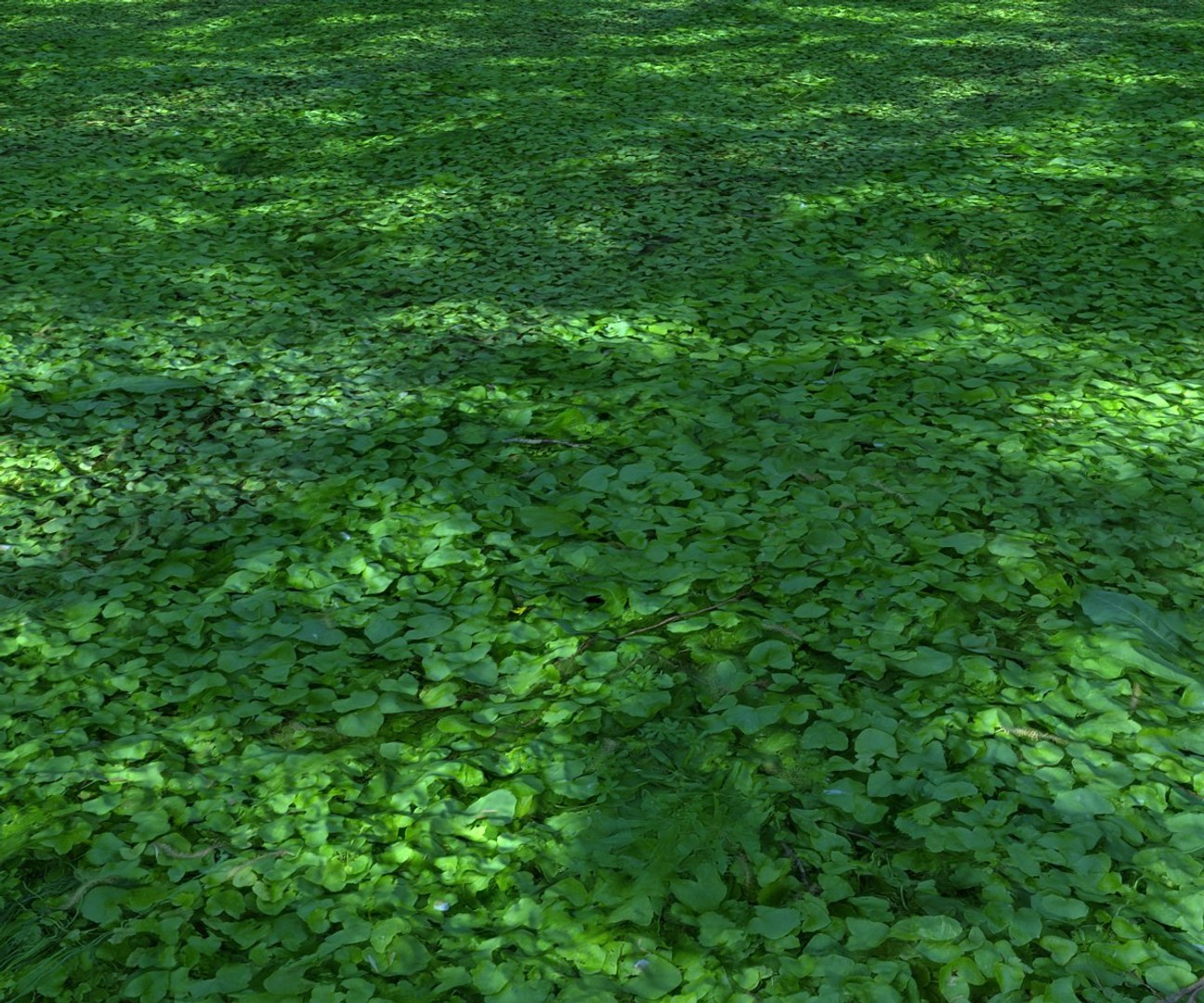 forest ground 16k hd 3d model