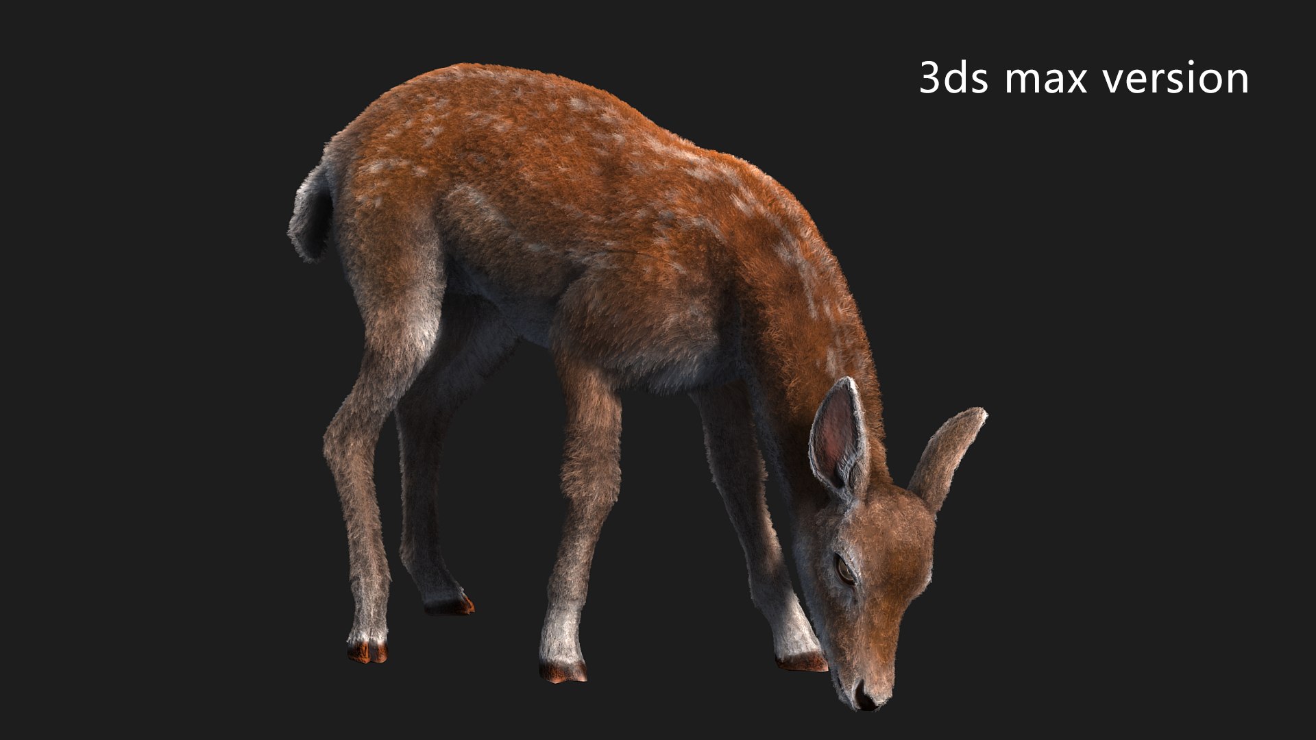3D Deer - TurboSquid 2180890