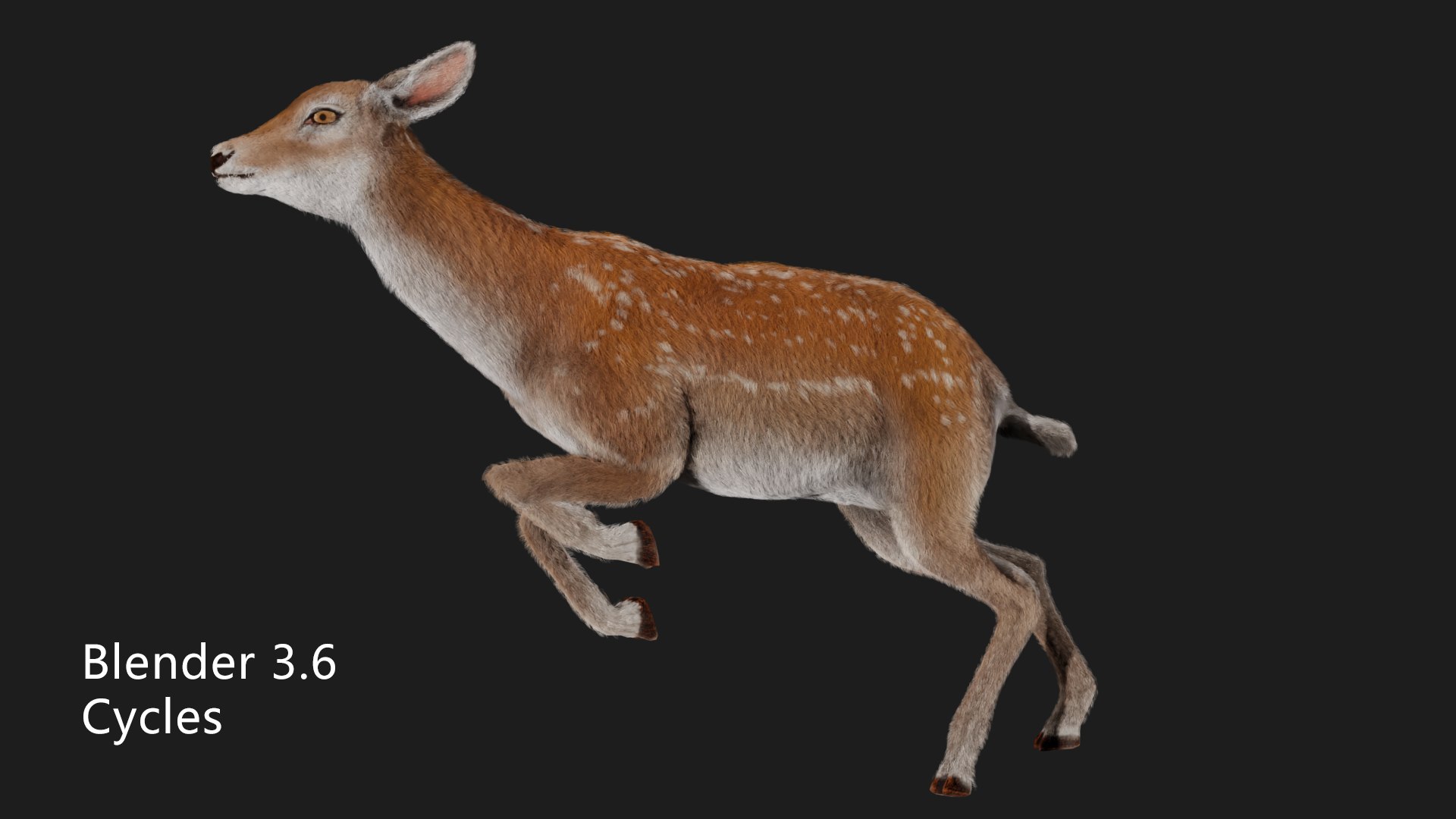 3D Deer - TurboSquid 2180890