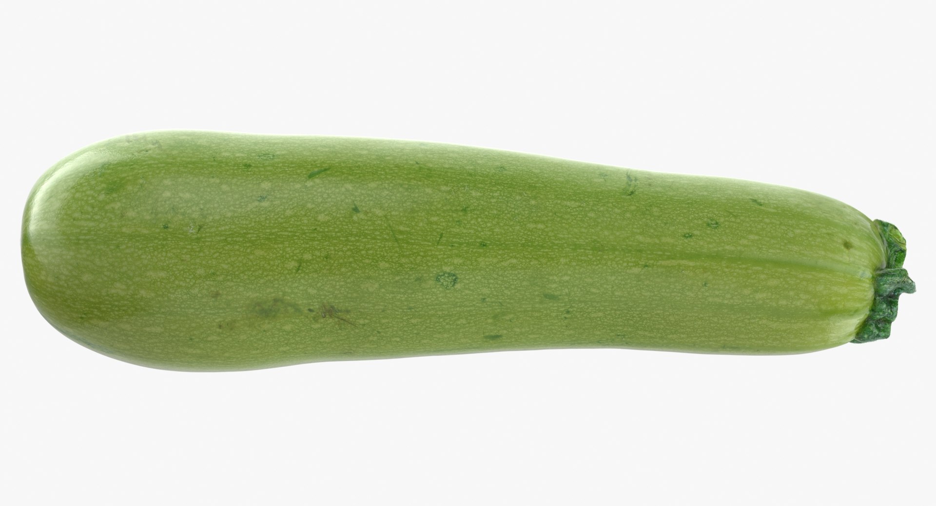 Zucchini cousa squash 05 model - TurboSquid 1481709