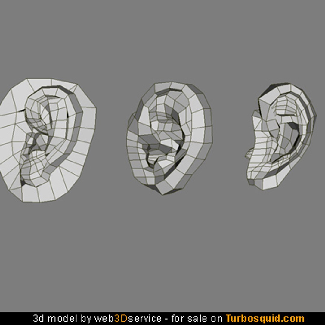 human ear 3d model
