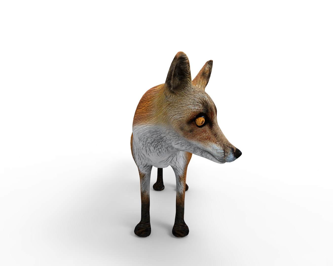 Fox Rigged Animation 3D Model - TurboSquid 1206852