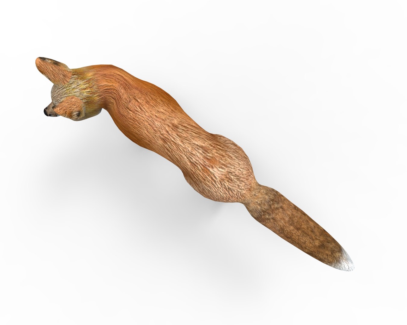 Fox Rigged Animation 3D Model - TurboSquid 1206852