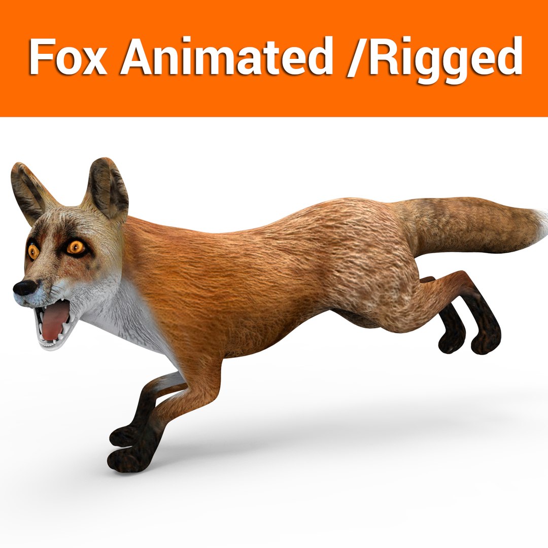 Fox Rigged Animation 3D Model - TurboSquid 1206852