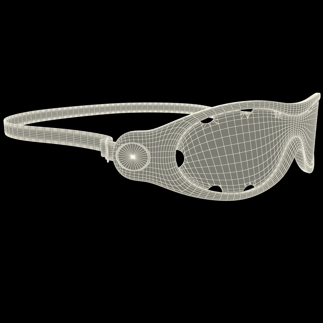 Polo Goggles Max
