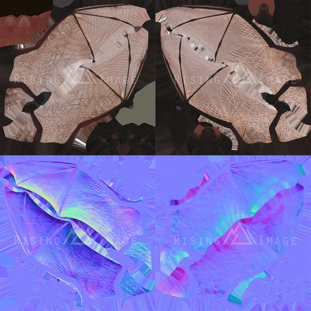 Brown Bat 3d Ma