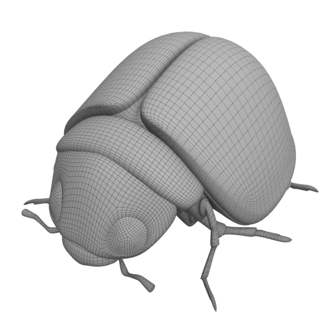 3d Model Ladybird
