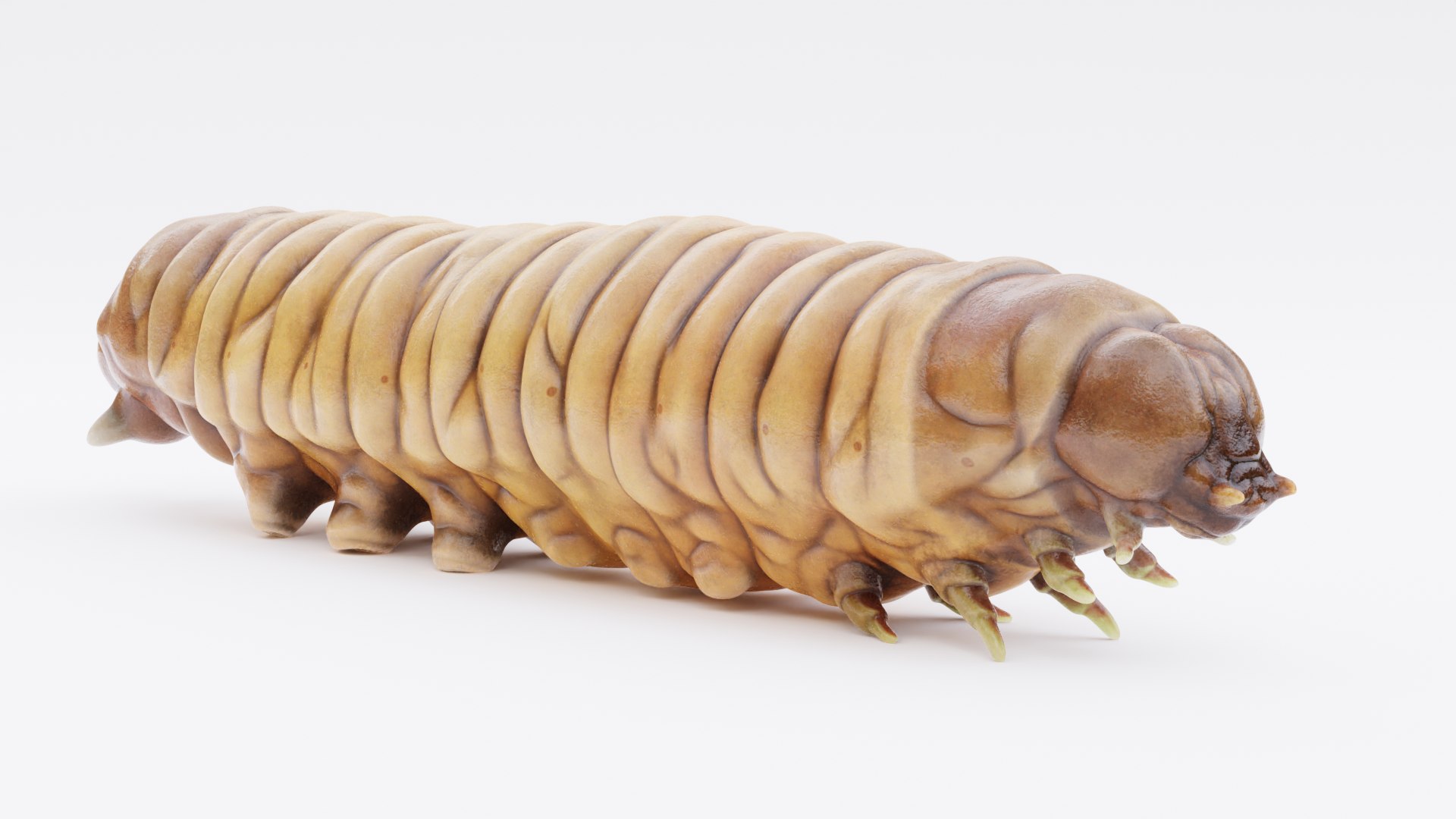 Wax Worm 3D Model - TurboSquid 2115357