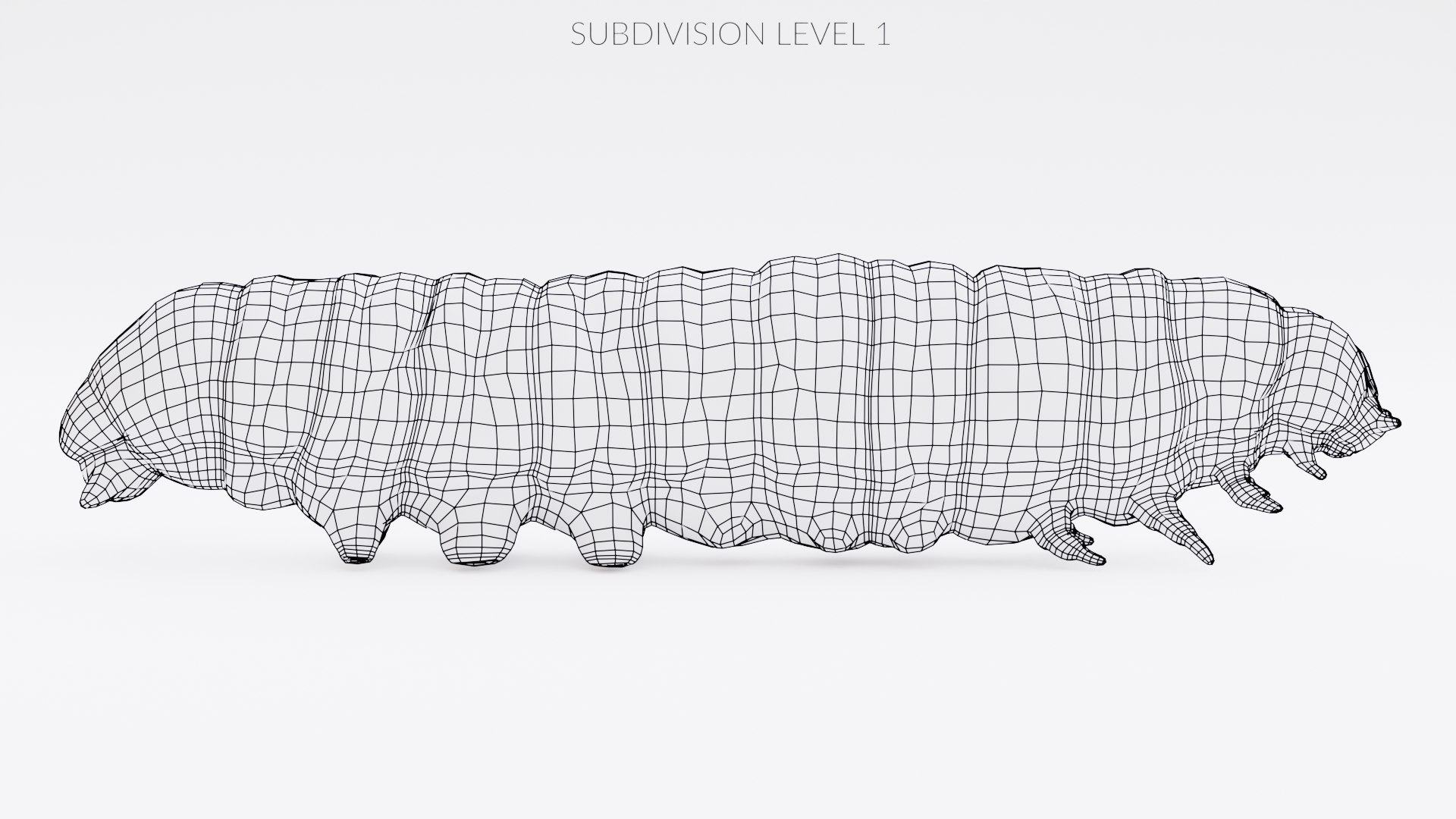 Wax Worm 3D Model - TurboSquid 2115357