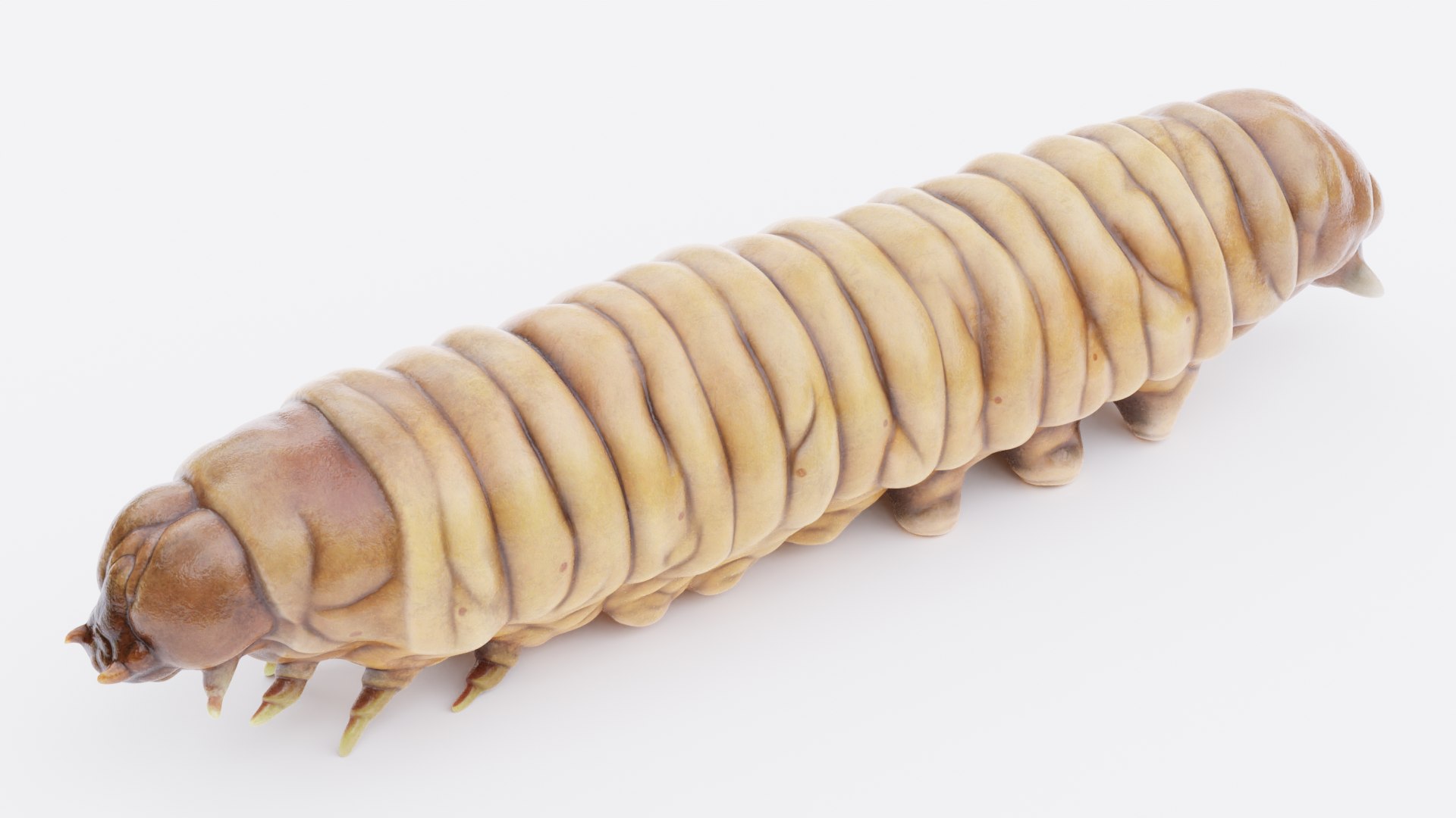 Wax Worm 3D Model - TurboSquid 2115357
