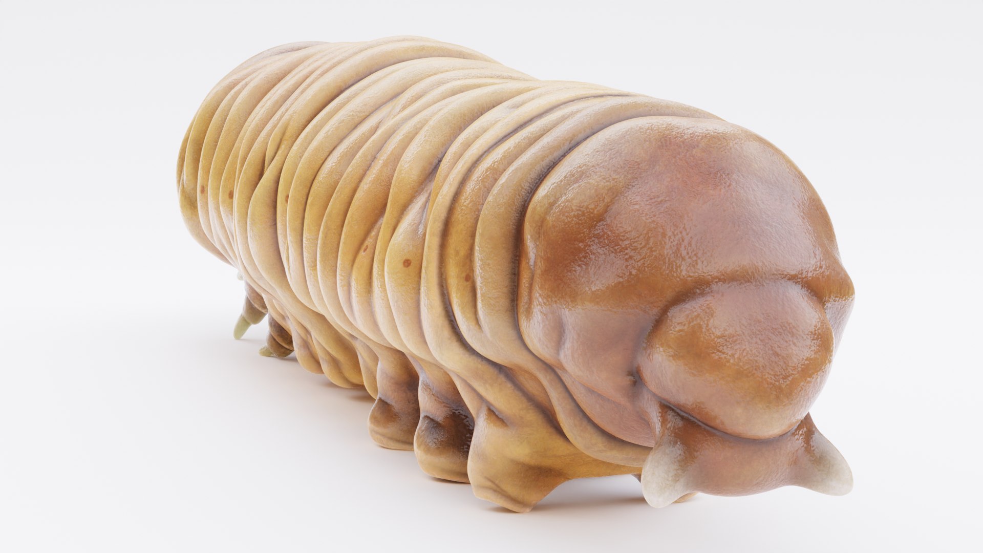 Wax Worm 3D Model - TurboSquid 2115357