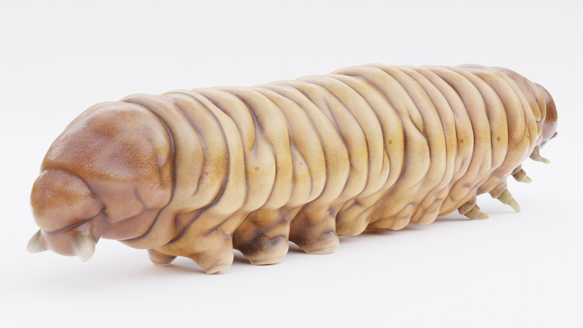 Wax Worm 3D Model - TurboSquid 2115357