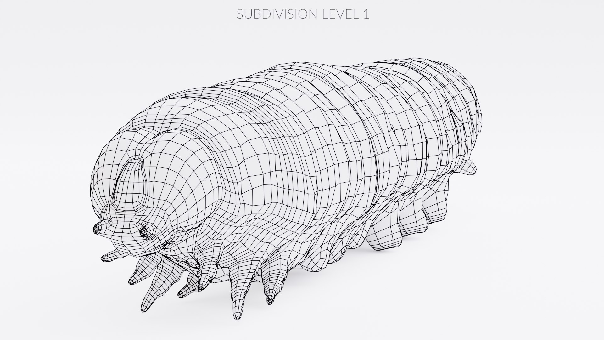 Wax Worm 3D Model - TurboSquid 2115357
