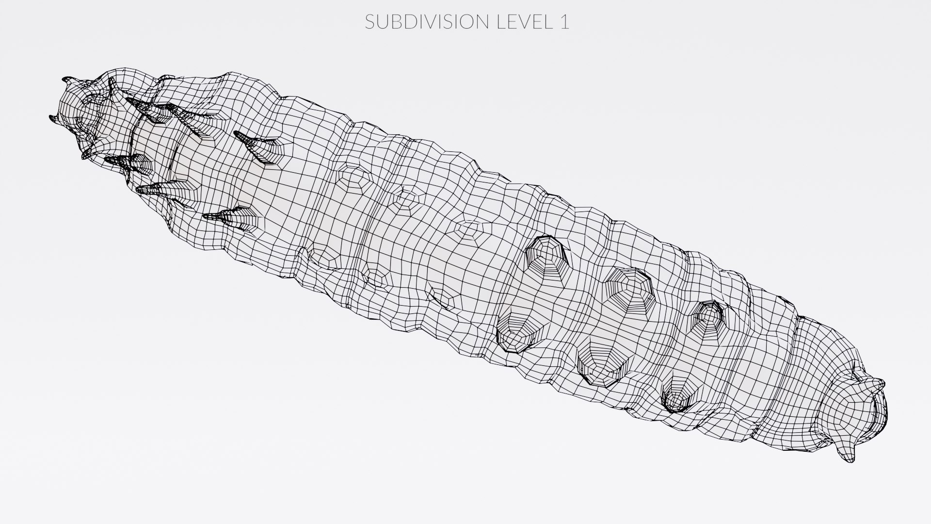 Wax Worm 3D Model - TurboSquid 2115357