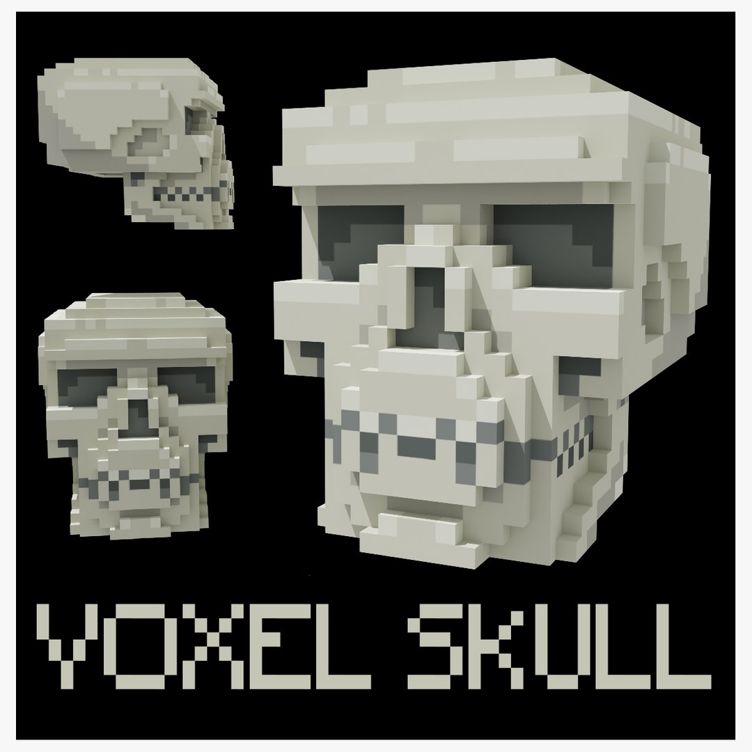 3D Voxel Human Skull - TurboSquid 2080295