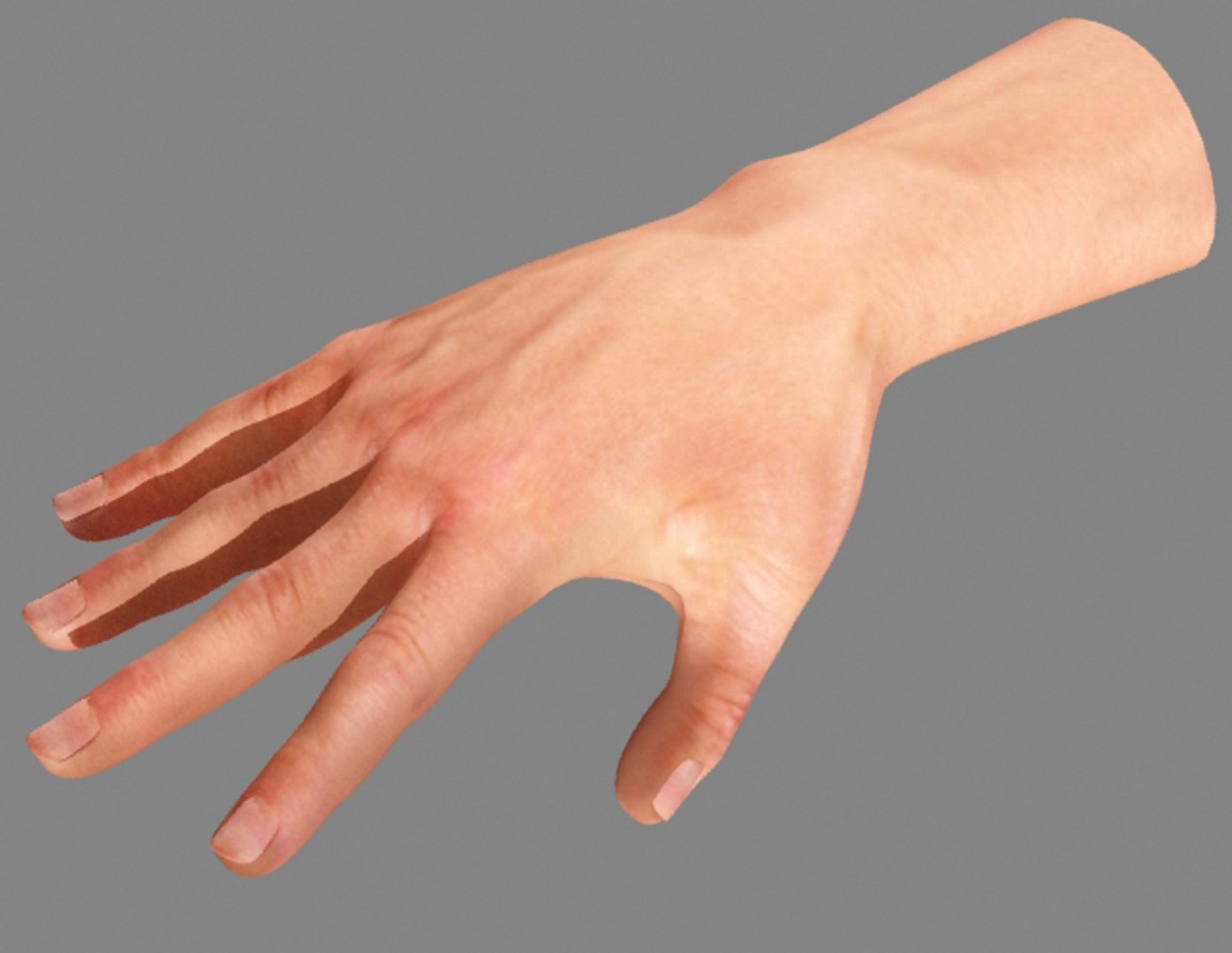 realistic hand 3d model