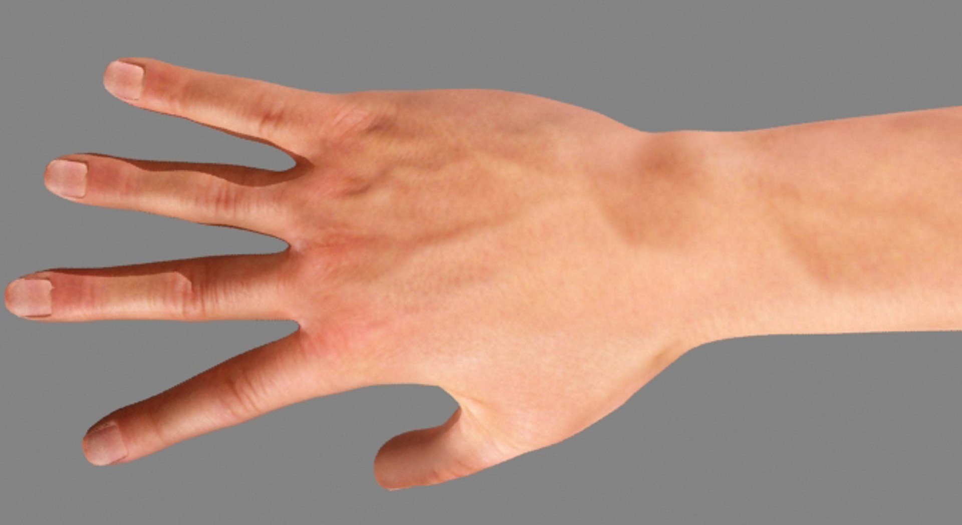 realistic hand 3d model