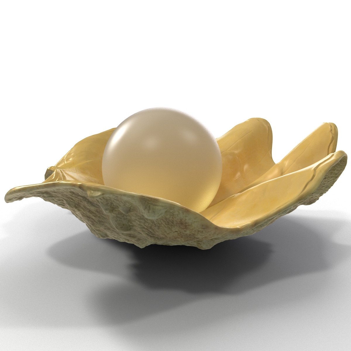 3d pearl shell 3