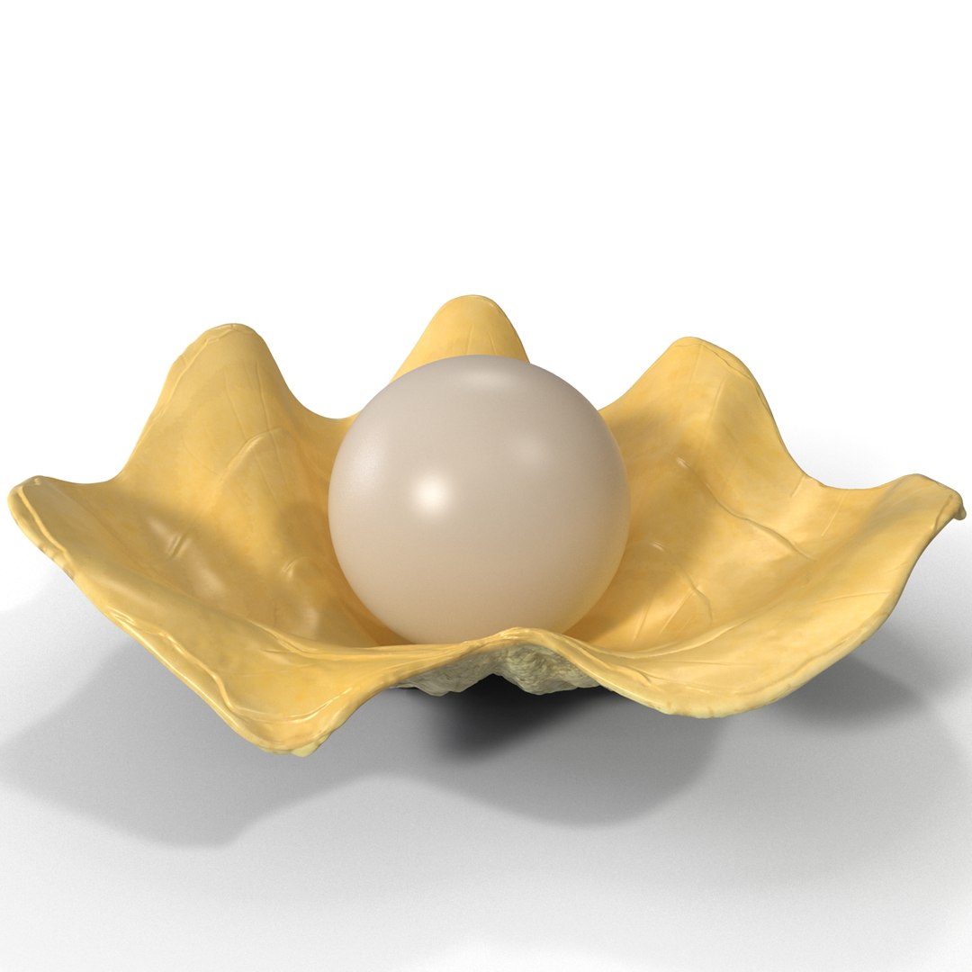 3d Pearl Shell 3