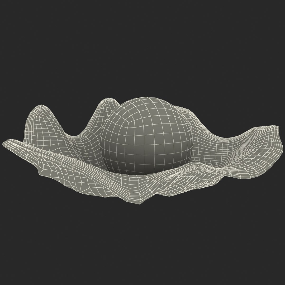 3d Pearl Shell 3